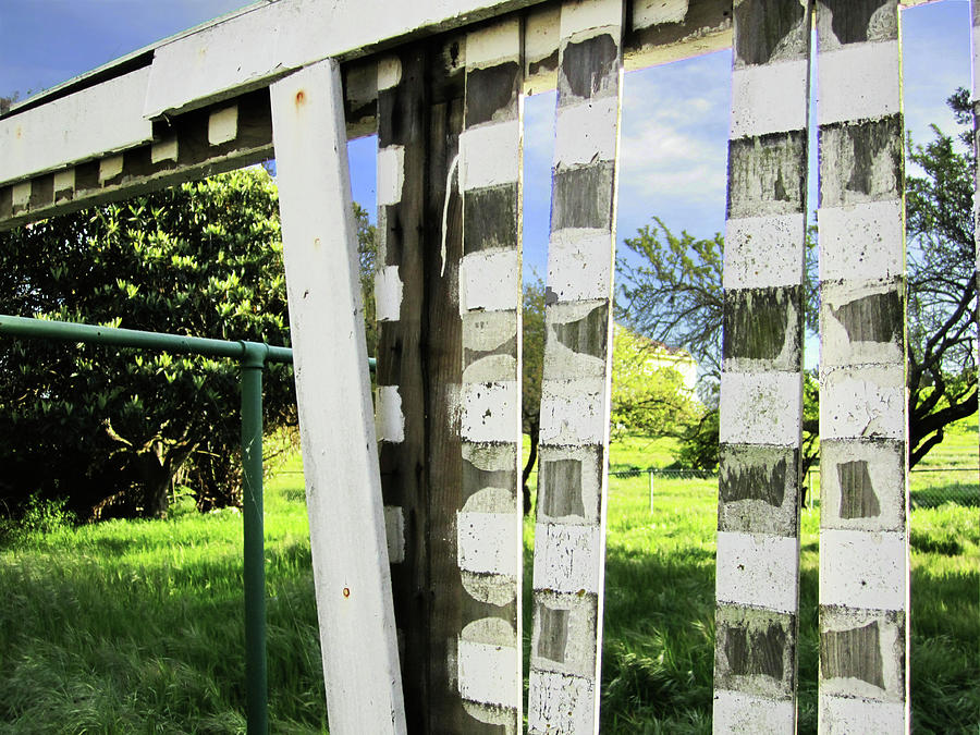 Deconstruct Photograph by Dipa Prints - Fine Art America