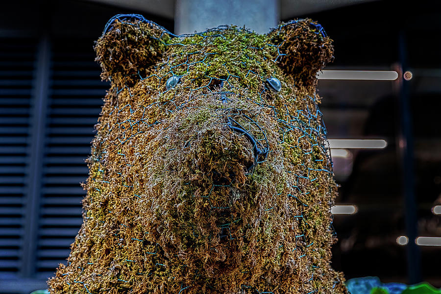 Decrepit Topiary Bear Photograph by Robert Ullmann - Fine Art America
