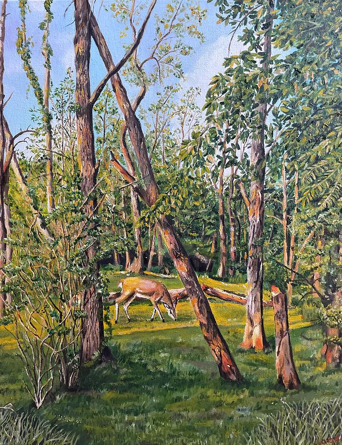 Deer in a forest Drawing by Larisa Laba - Fine Art America