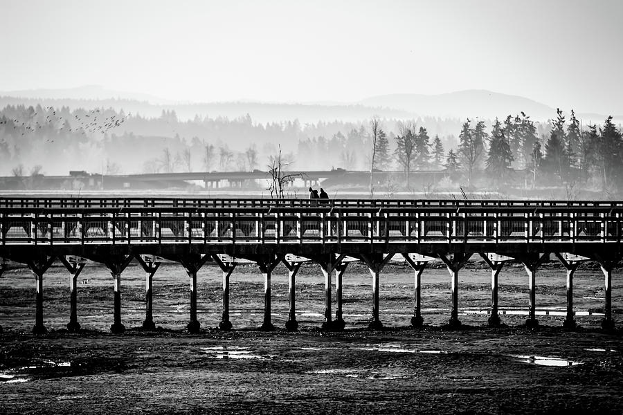 Delta Boardwalk Photograph by David Hagerman - Fine Art America