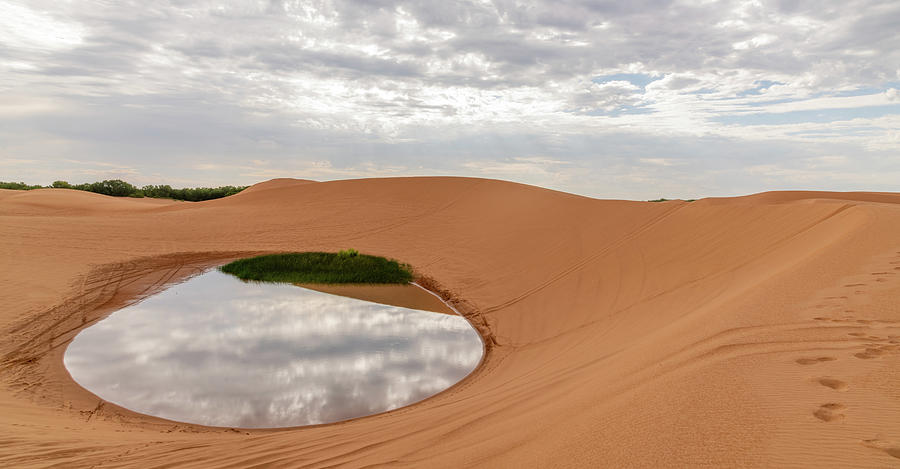 Desert reflection Photograph by Mark McDaniel - Pixels