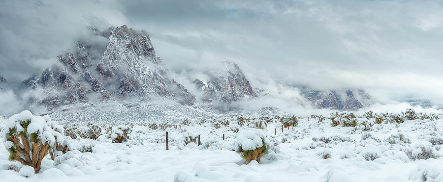 Desert Snow Storm Photograph by Charles Scott - Fine Art America