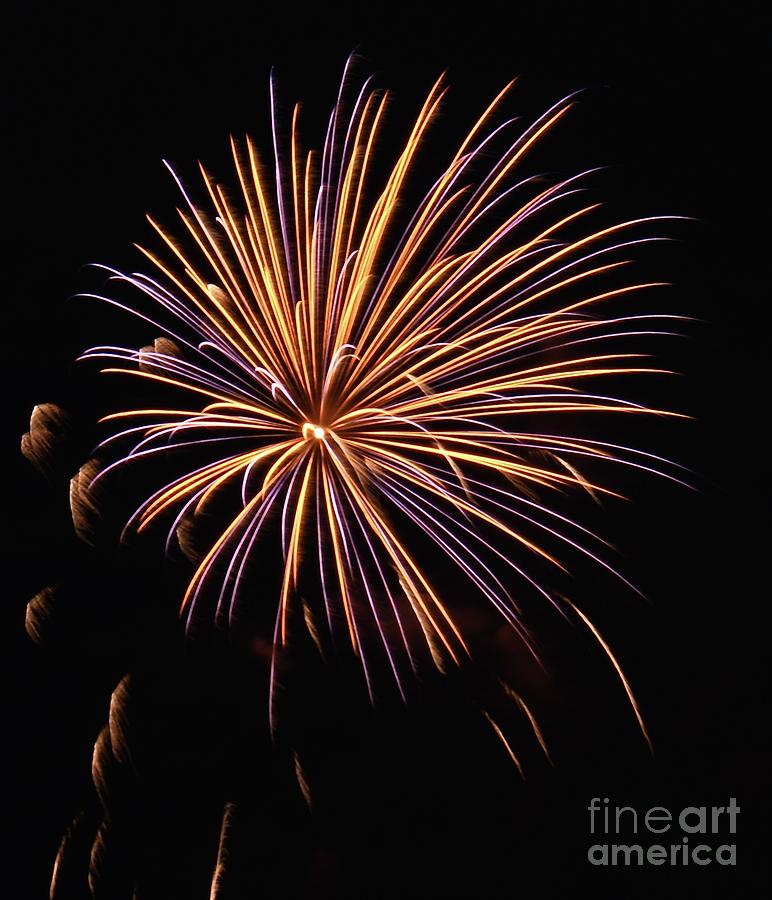 Designing the Skies Photograph by Susan Bonner | Fine Art America