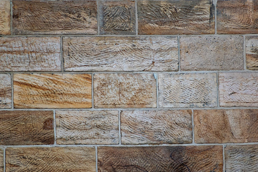 Detail of ceramic wall cladding with wood texture Photograph by ...