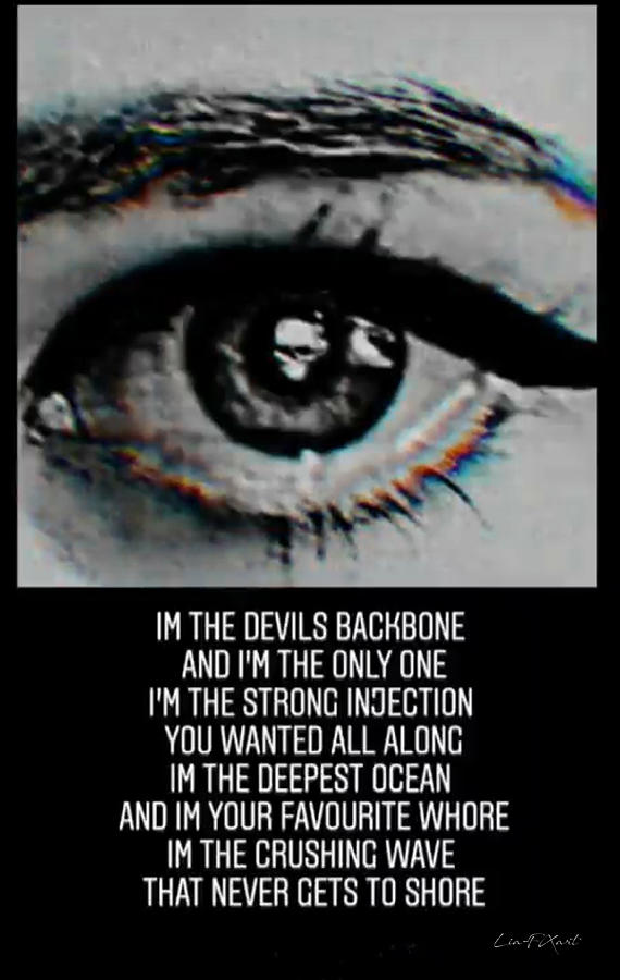 Devils Backbone - Poem Photograph by LiaFXart - Pixels