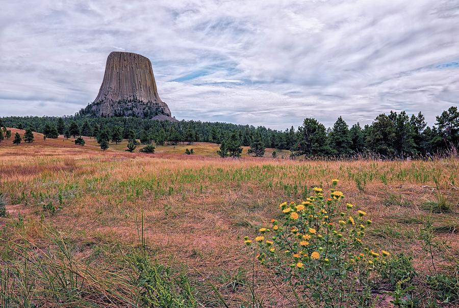 Devils Tower View Photograph by Loree Johnson | Fine Art America