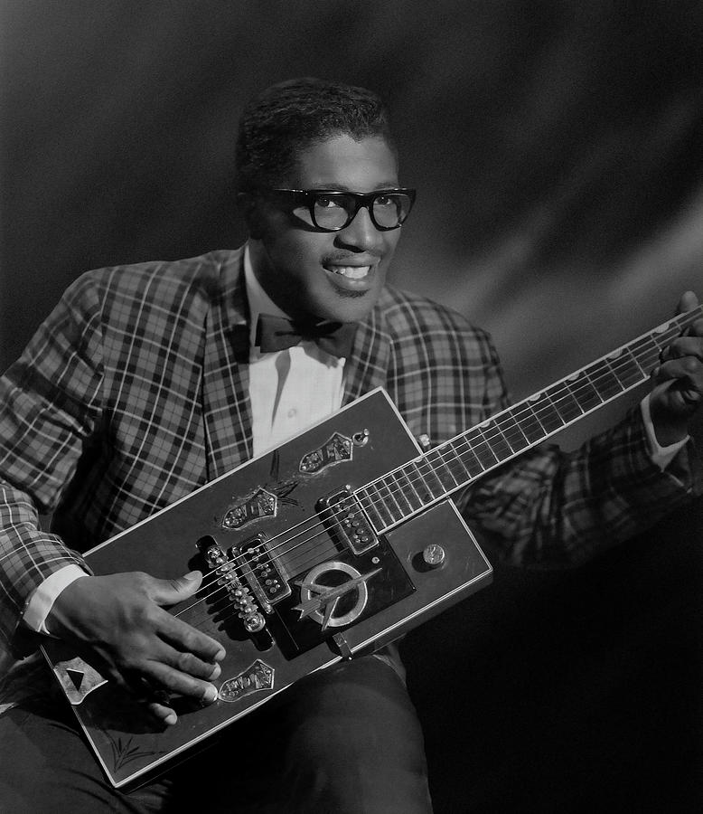 Diddley Bo Photograph by Thomas Ozga - Fine Art America