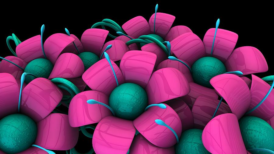 Digital Art Digital Art by Celestina Paul - Fine Art America