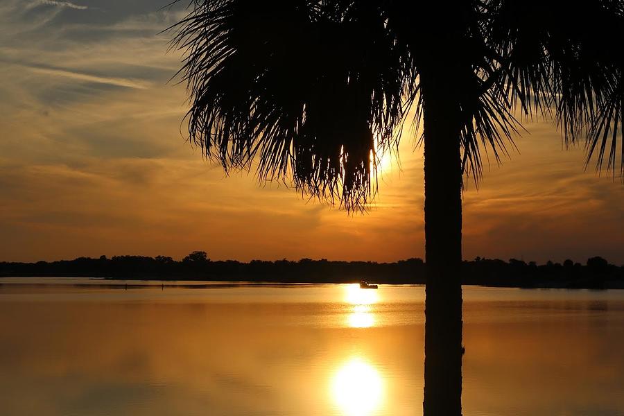 Distant sunset Photograph by Robbi Read | Fine Art America