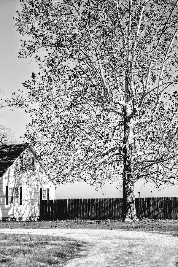 Do you Remember This? Photograph by Destiny Fisher - Fine Art America