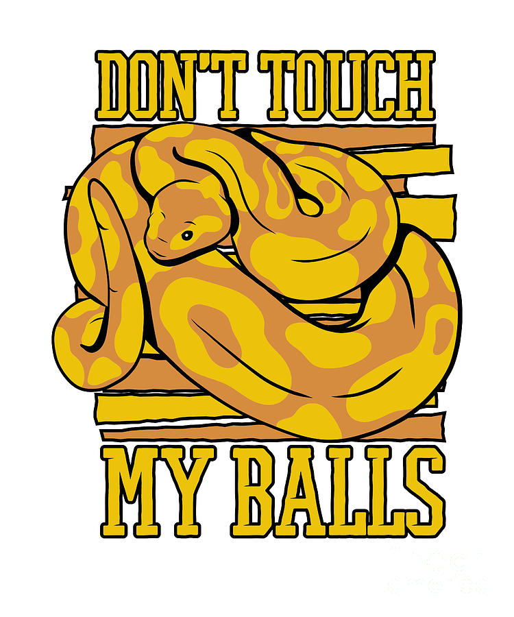 Don't Touch My Balls Pythonidae Breeder Banana Ball Python Digital Art ...