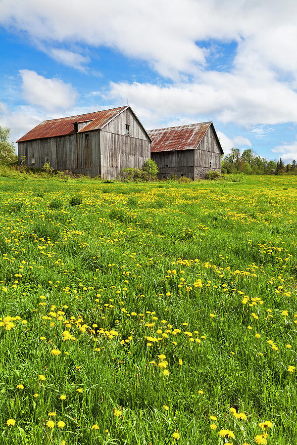 Double Barns In Spring Photograph by Alan L Graham - Fine Art America