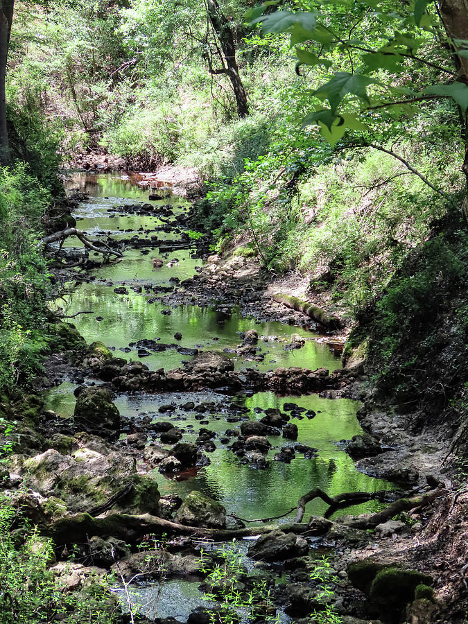 Down Stream Photograph by Robert Hardy - Fine Art America