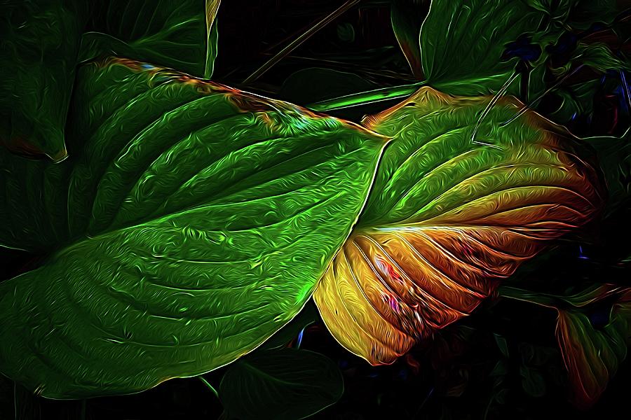 Dramatic leaves Mixed Media by Alex Quaid - Fine Art America