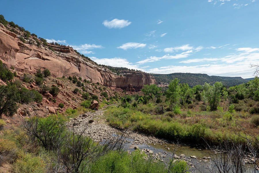 Dry Gulch Photograph by Alan Ball - Fine Art America