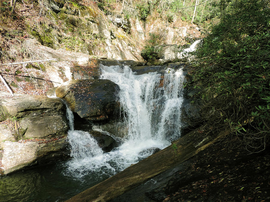 Dukes Creek Photograph by Leesie Annie Designs - Pixels Dukes Creek Photograph by Leesie Annie Designs - Pixels
