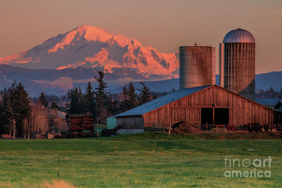 Dusted By Daylight Photograph by Randy Small - Fine Art America