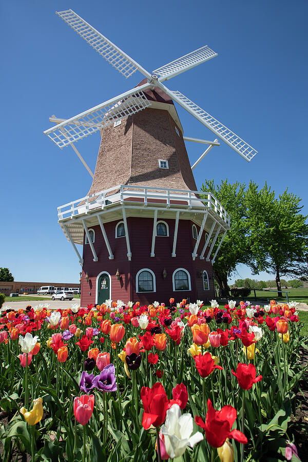 Dutch Windmill Photograph by AJ Dahm - Fine Art America