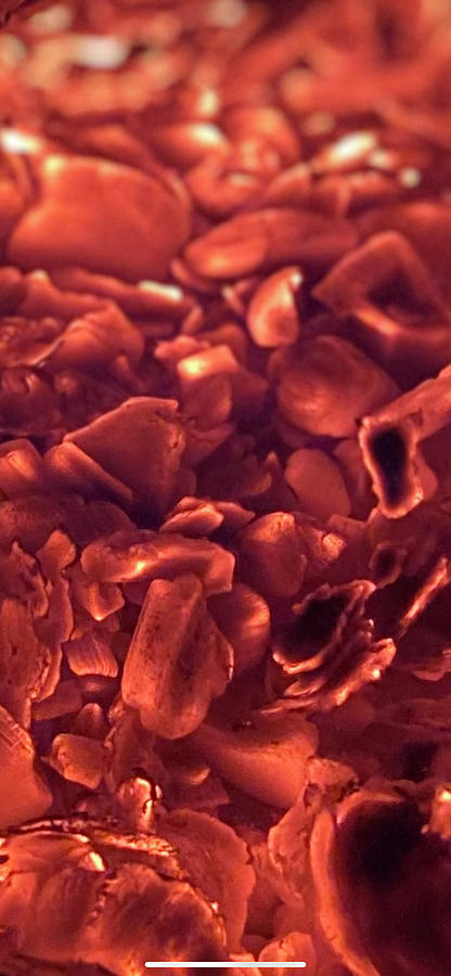 Dying out Photograph by Kaylee Jackson | Fine Art America