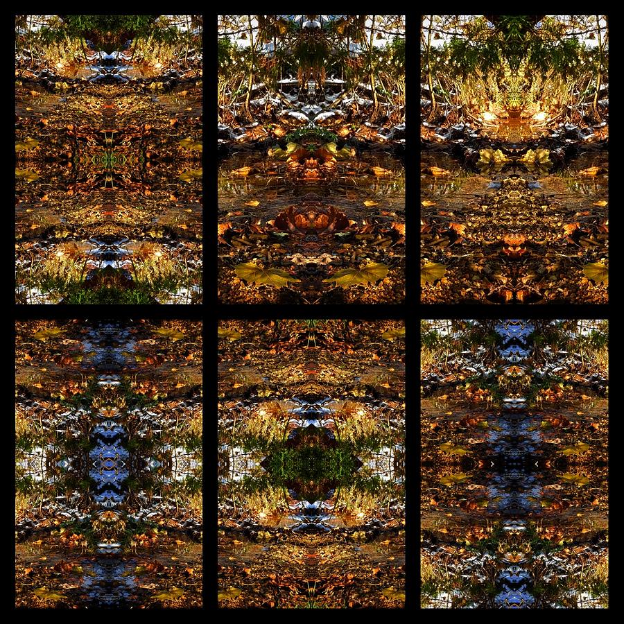 Dynamic Design Collage Photograph by Amanda Rae - Fine Art America