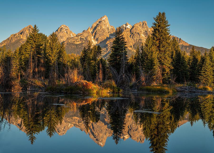 Early Reflections Light Photograph by David Berry - Fine Art America