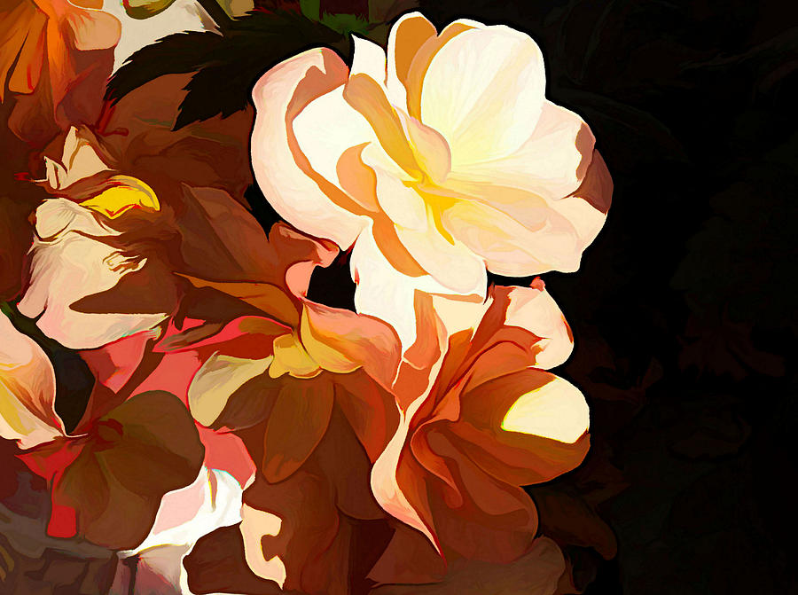 Earth Tone Flowers Photograph by Rick Davis - Fine Art America