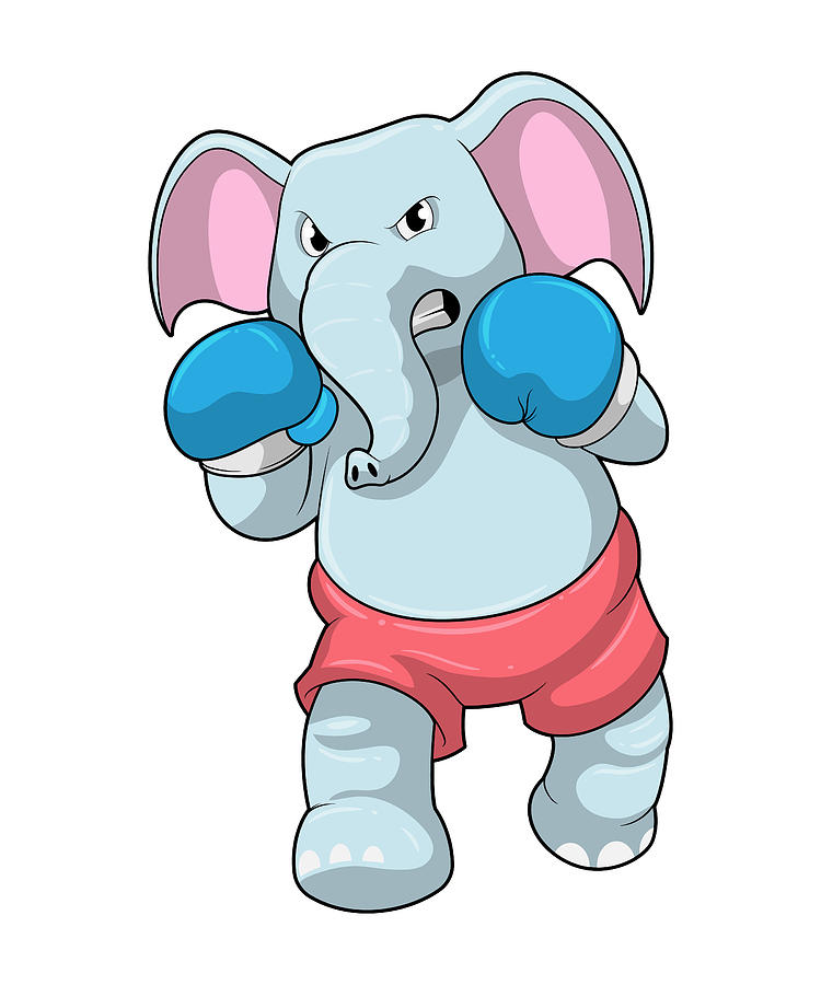 Elephant at Boxing with Boxing gloves Painting by Markus Schnabel - Fine Art America