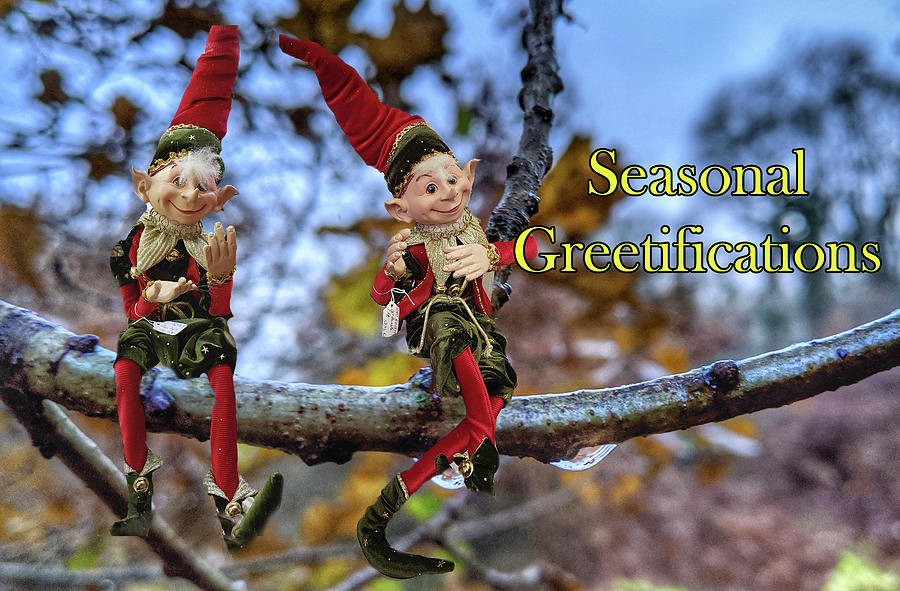 Elf Greetings Digital Art by Lonestar North - Fine Art America