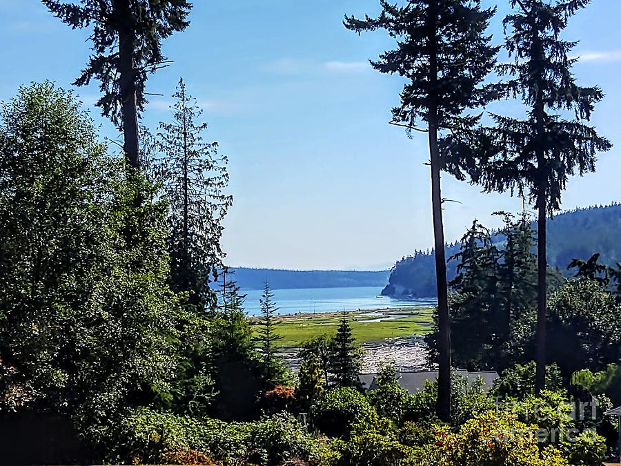 Elger Bay Photograph by Bruce Borthwick - Fine Art America