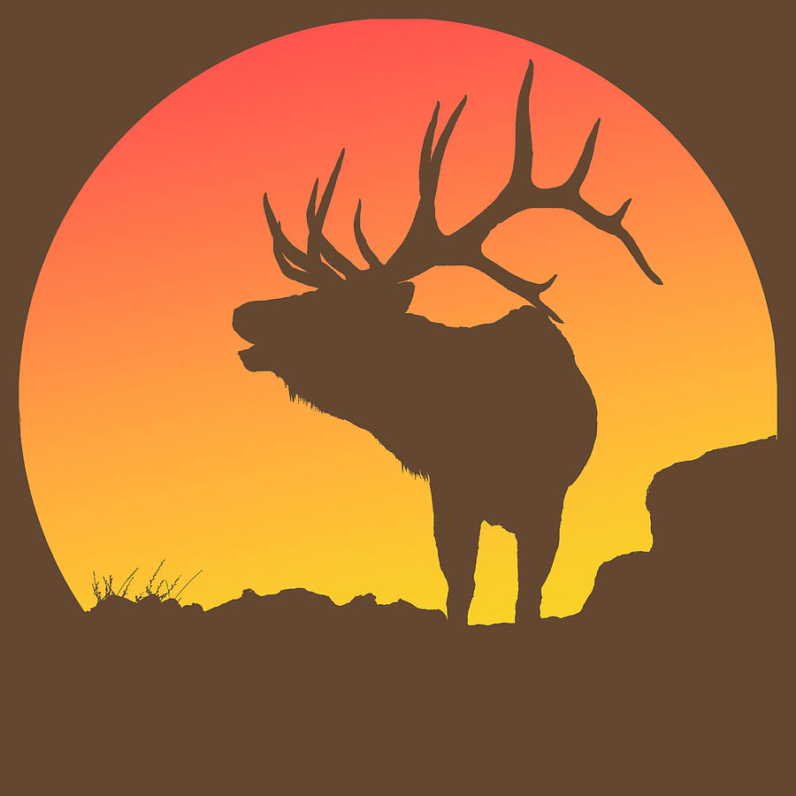 Elk Sunset Digital Art by Daniel Lindhardt - Fine Art America