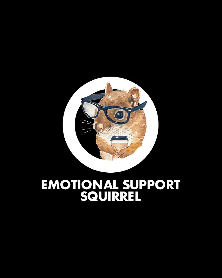Emotional Support Squirrel Squirrel Drawing by Noirty Designs - Pixels