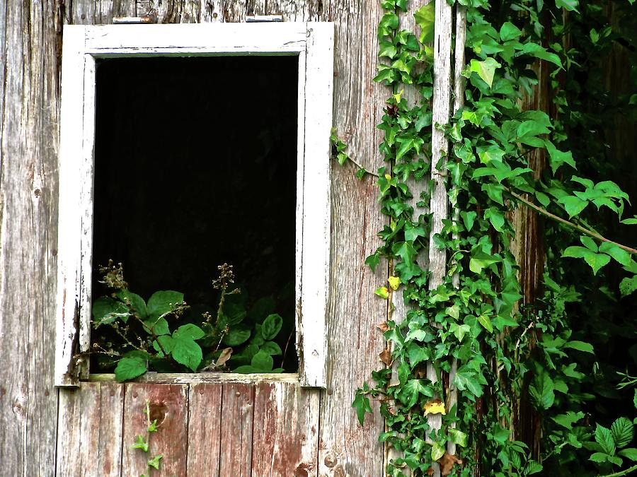 Empty Window Photograph by Stephanie Moore - Pixels