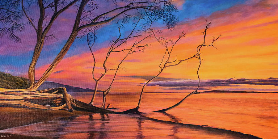 Enchanted Tide Painting by Dave Fish - Fine Art America