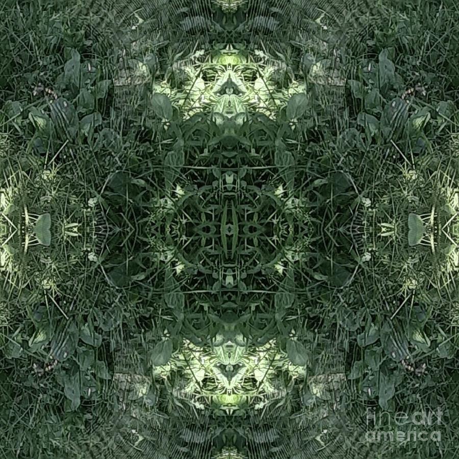 Ethereal Etching 8 Digital Art by SUDA Studios Tech - Fine Art America