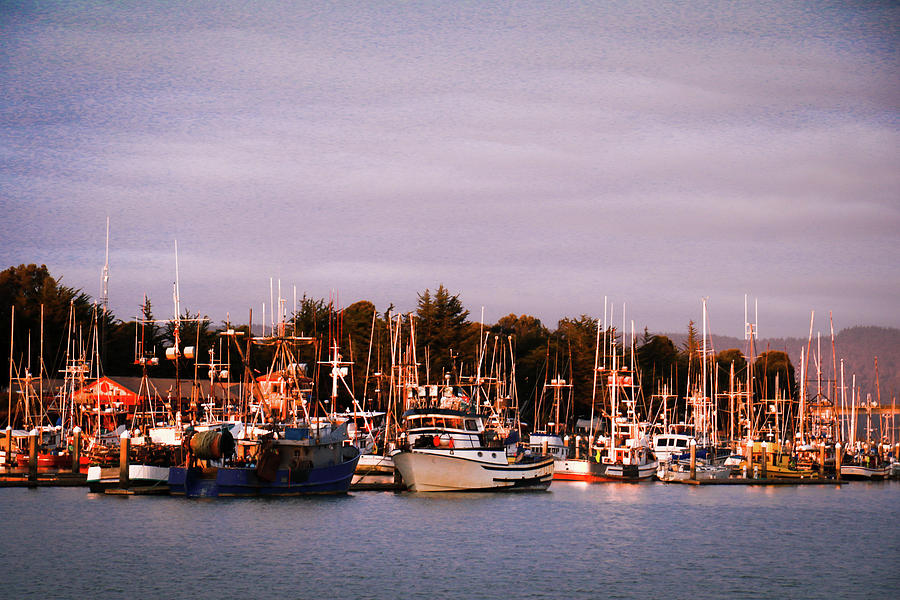 Eureka Harbor, Ca Photograph by Dr Janine Williams - Fine Art America