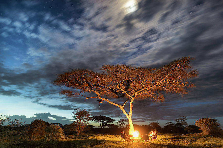 Evening under the Baobob Tree Photograph by Hali Sowle - Fine Art America