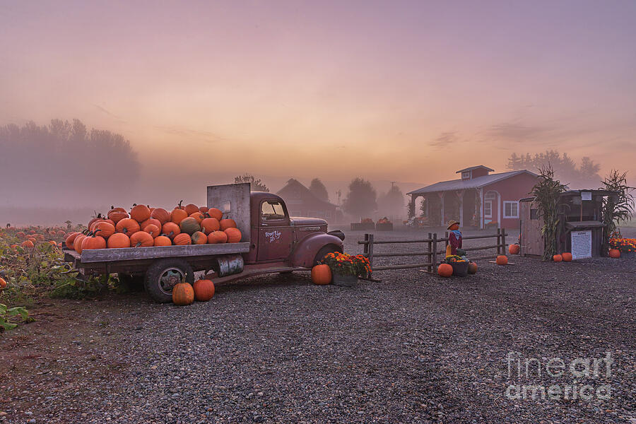 Everything October Photograph by Randy Small - Fine Art America