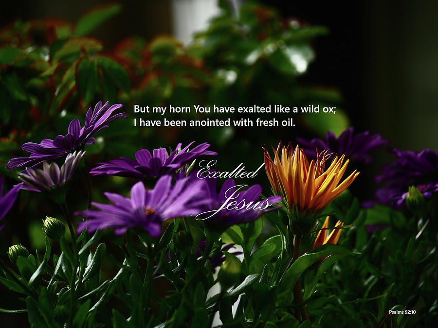 Exalted, Jesus Photograph by Dennis Burton - Fine Art America