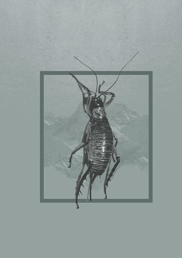 Exploring the Intricacies of a Strange and Beautiful Bug Digital Art by ...