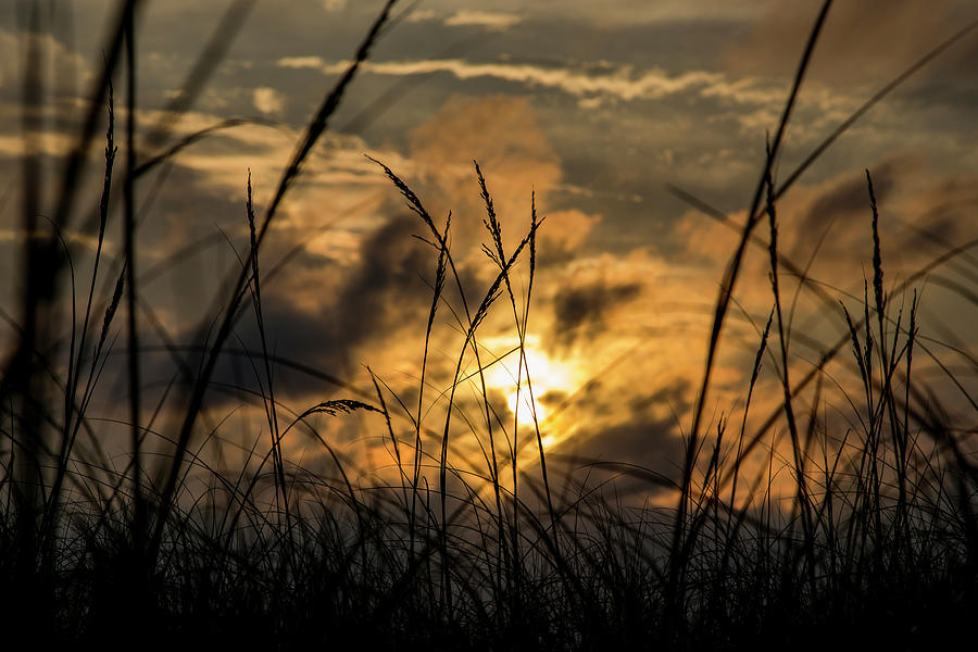 Fading Days Photograph by Dylan Harrell - Fine Art America