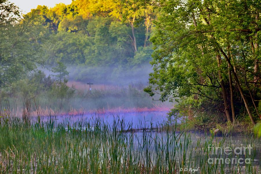 Fading Mist Photograph by Chance Boyd | Fine Art America
