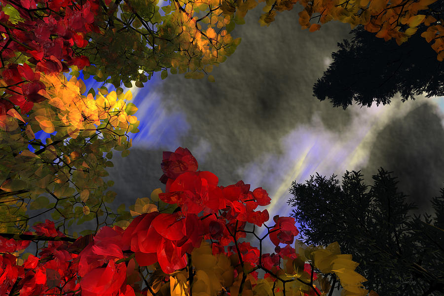 Fall Digital Art by Brian Jay - Fine Art America