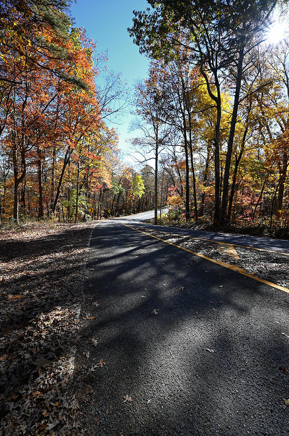 Fall Driving Photograph by Charley Carter - Fine Art America