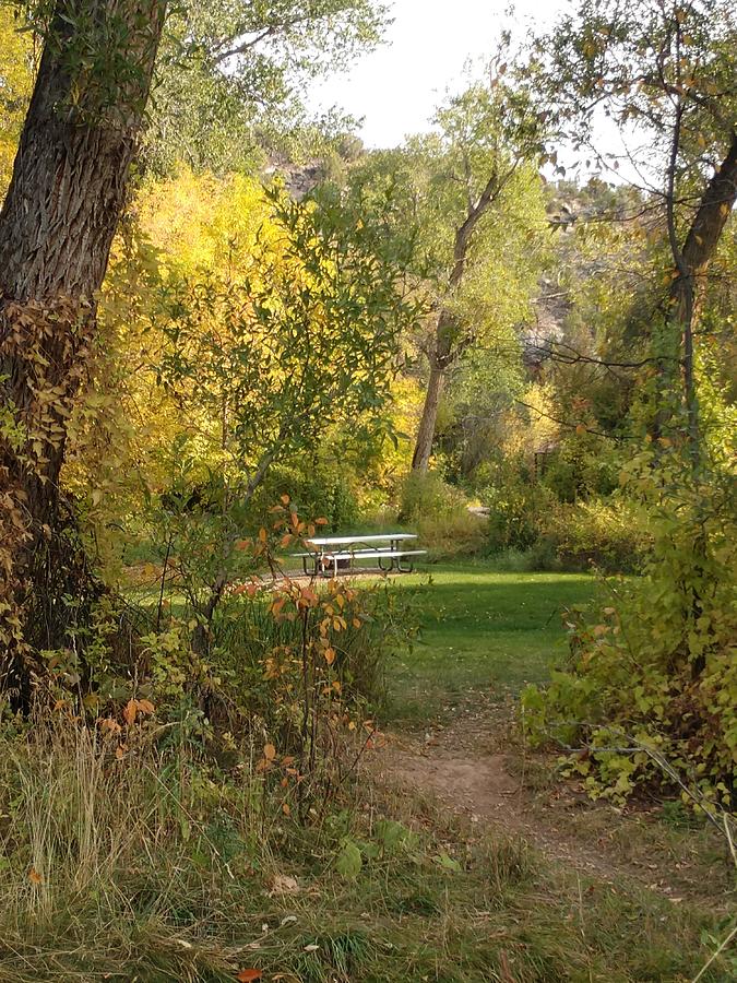Fall Foliage 3 Photograph by Gayle Phipps - Fine Art America