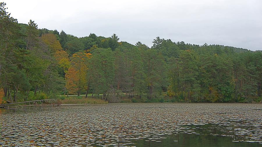 Fall in Quechee, VT Photograph by Adam Gladstone - Fine Art America