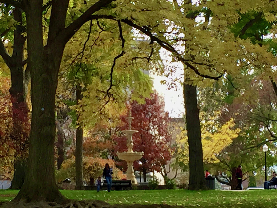Fall in West end park in PA Photograph by Tracey Neiman - Fine Art America