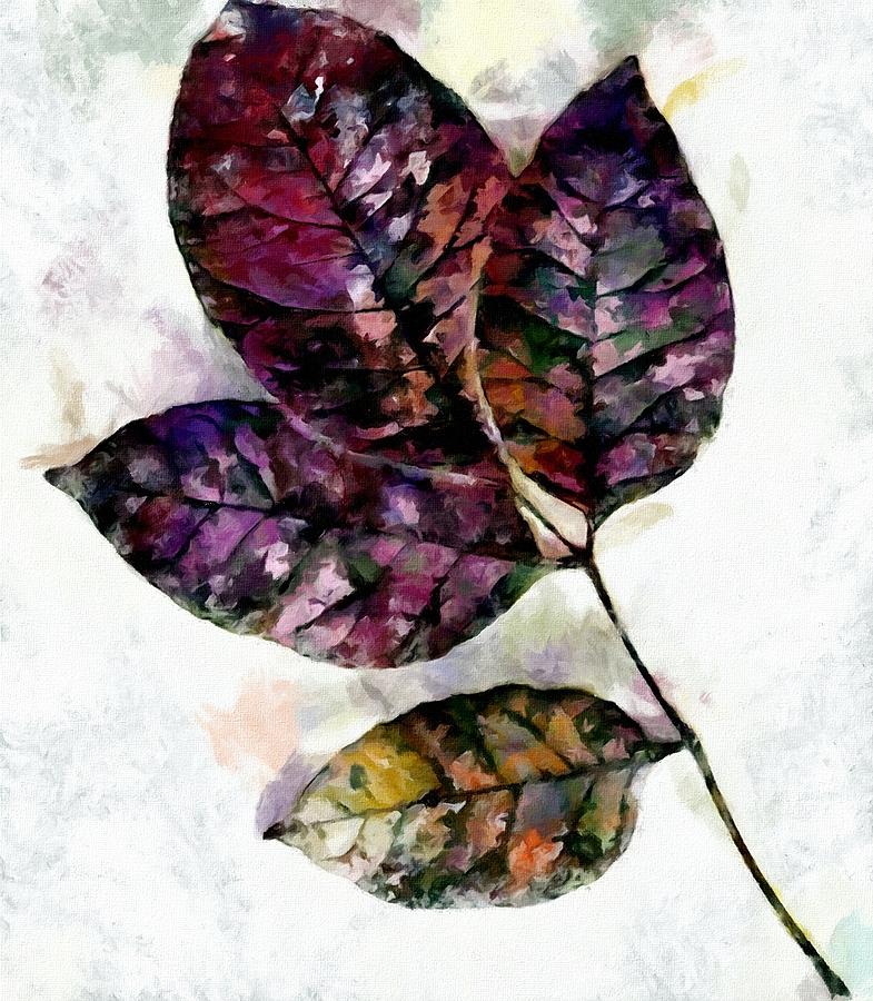 Fall Leaves Mixed Media by Christopher Reed - Fine Art America