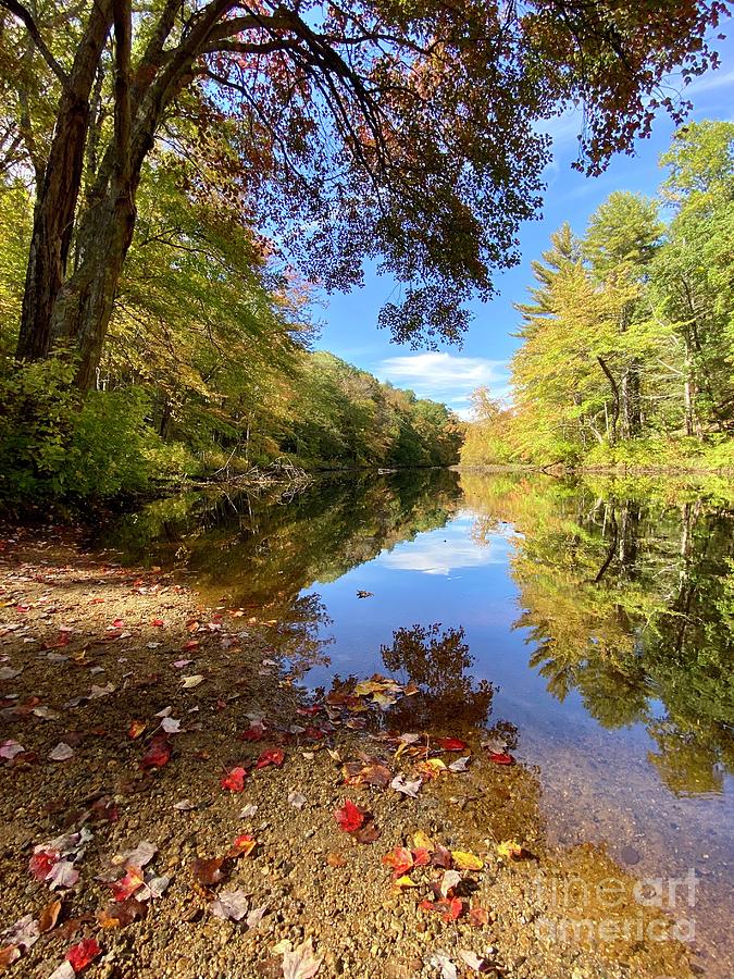 Fall On The Quinebaug Photograph by Jessica Mumford - Fine Art America