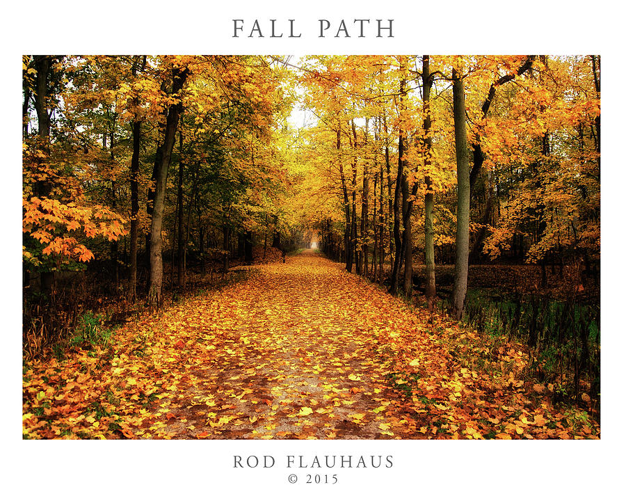Fall Path Photograph by Rod Flauhaus - Fine Art America