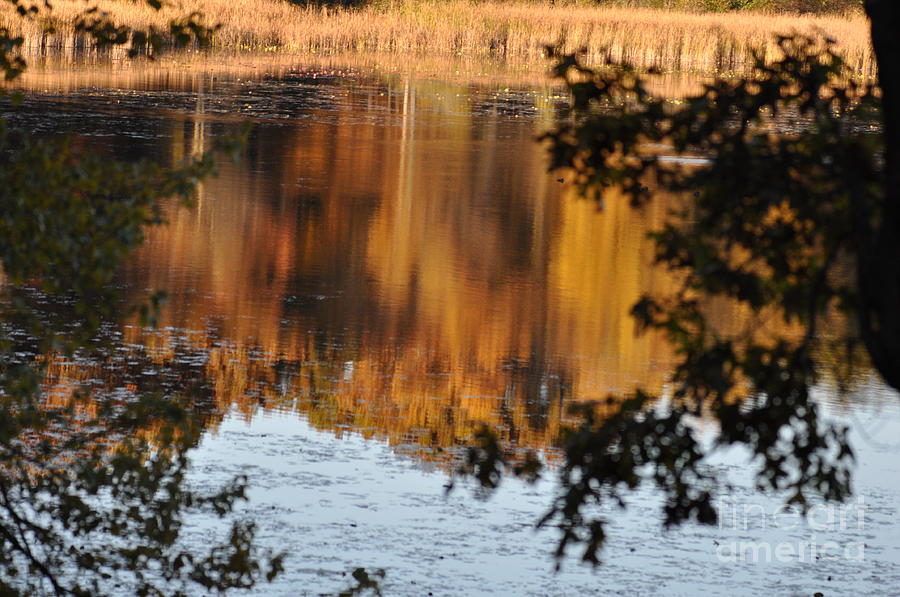 Fall Reflection Photograph by Leslie Gilbertson | Fine Art America